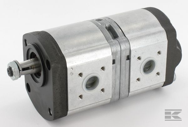 Case IH | Pompe hydraulique double Case 89880C91 Pompes hydrauliques à engrenage - AGZ000335936