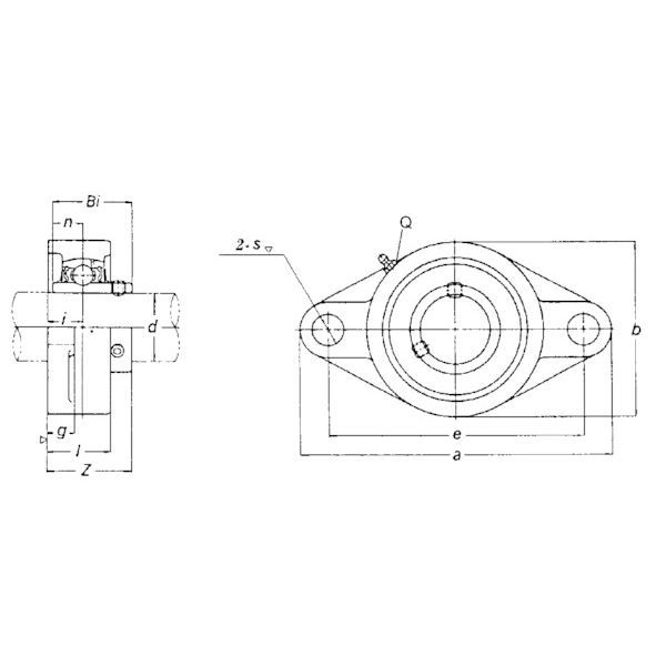 Palier 2 trous à flasque ovale UCFL205