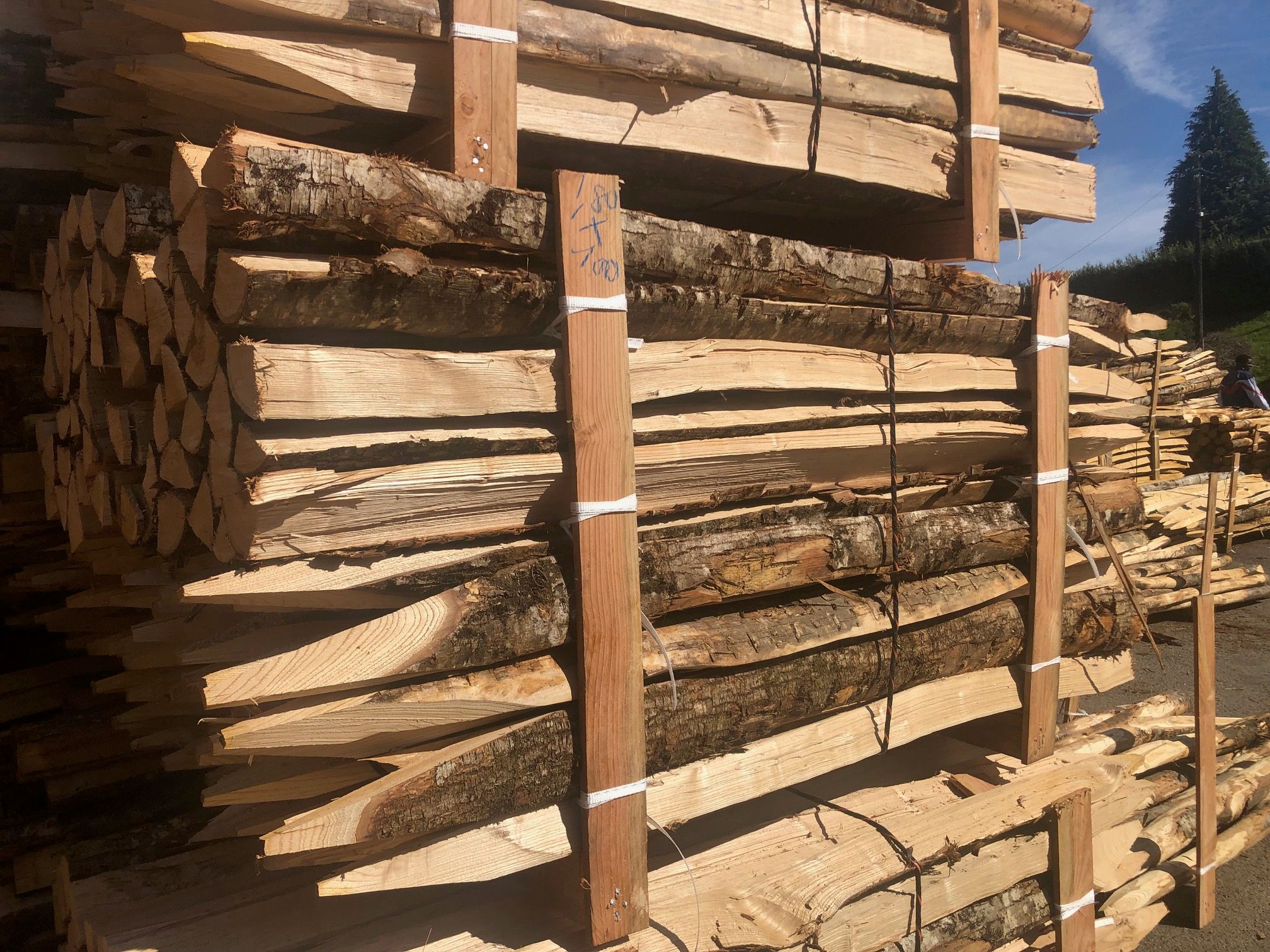 Piquet châtaignier 1m80 fendu épointé