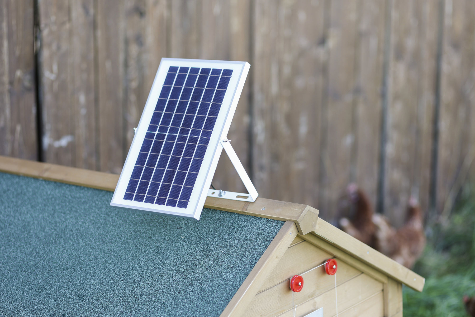 Kit solaire 10W porte poulailler automatique Porte poulailler - AGZ000557046